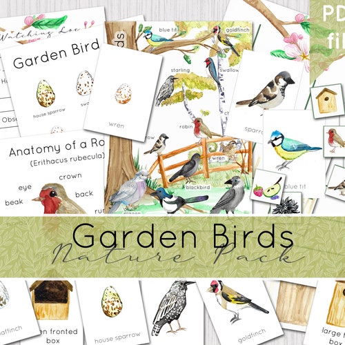 Garden Birds Nature Study Pack British Birds Printable - Etsy