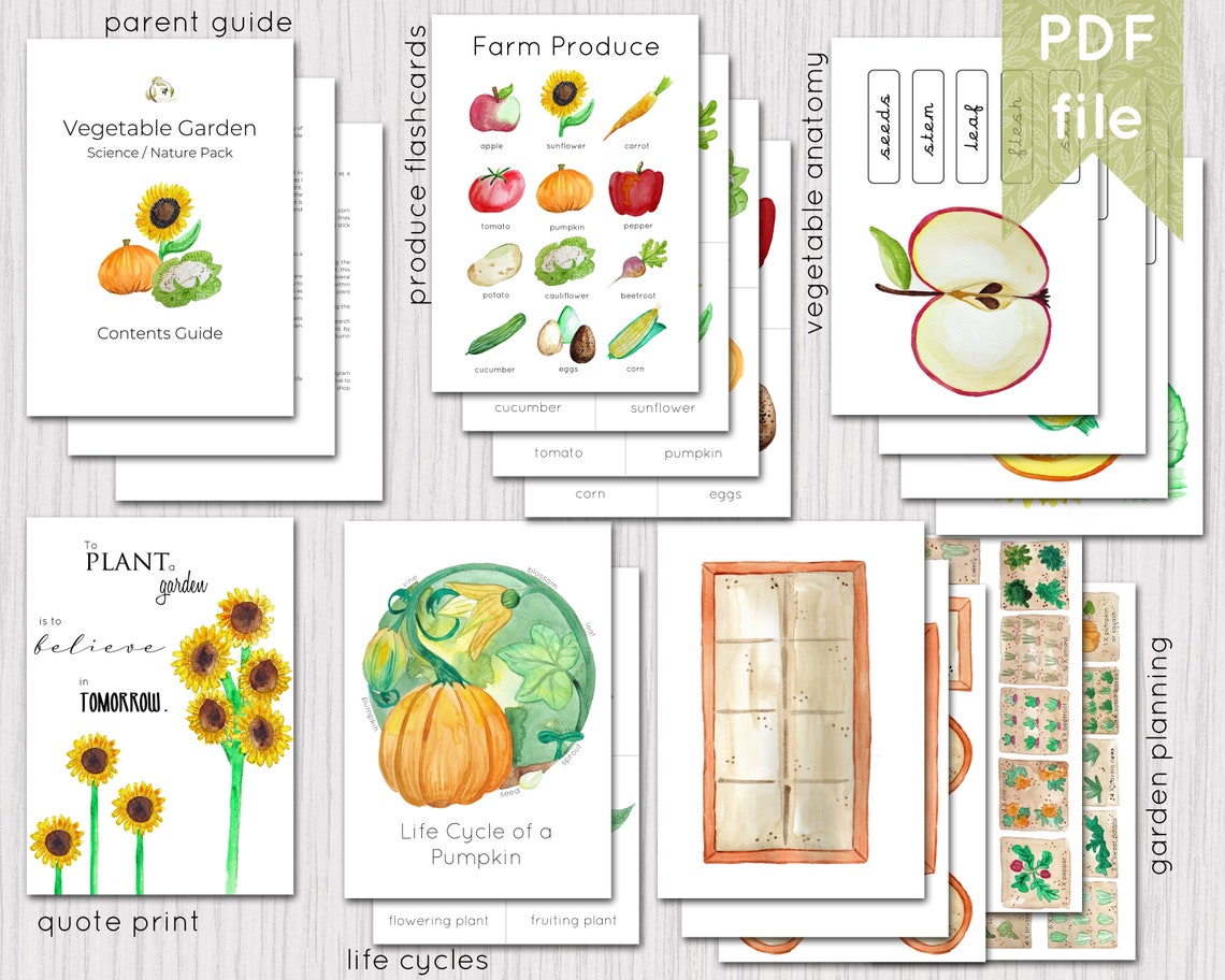 Vegetable Garden Printable Science and Nature Study Pack | Etsy