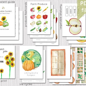 Vegetable Garden Printable Science and Nature Study Pack | Gardening ...