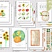 Vegetable Garden Printable Science and Nature Study Pack - Etsy