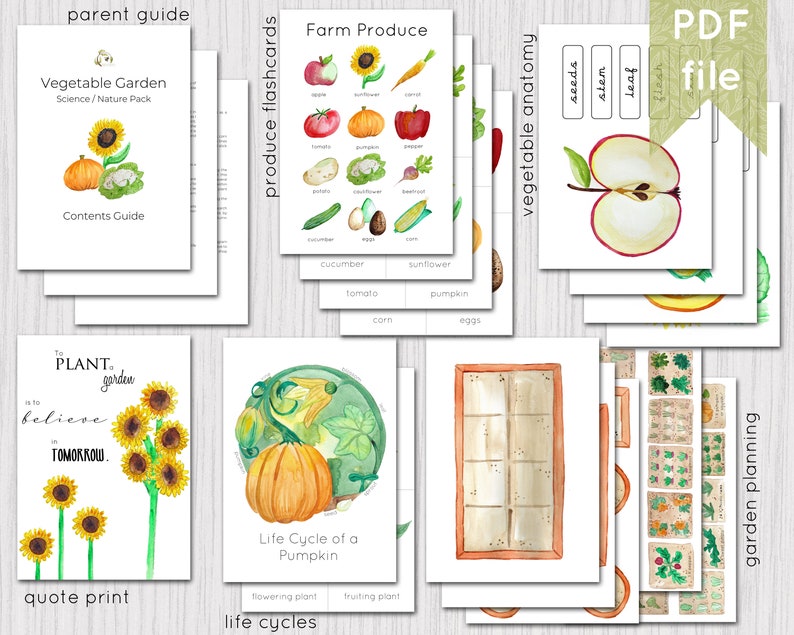 Vegetable Garden Printable Science and Nature Study Pack - Etsy