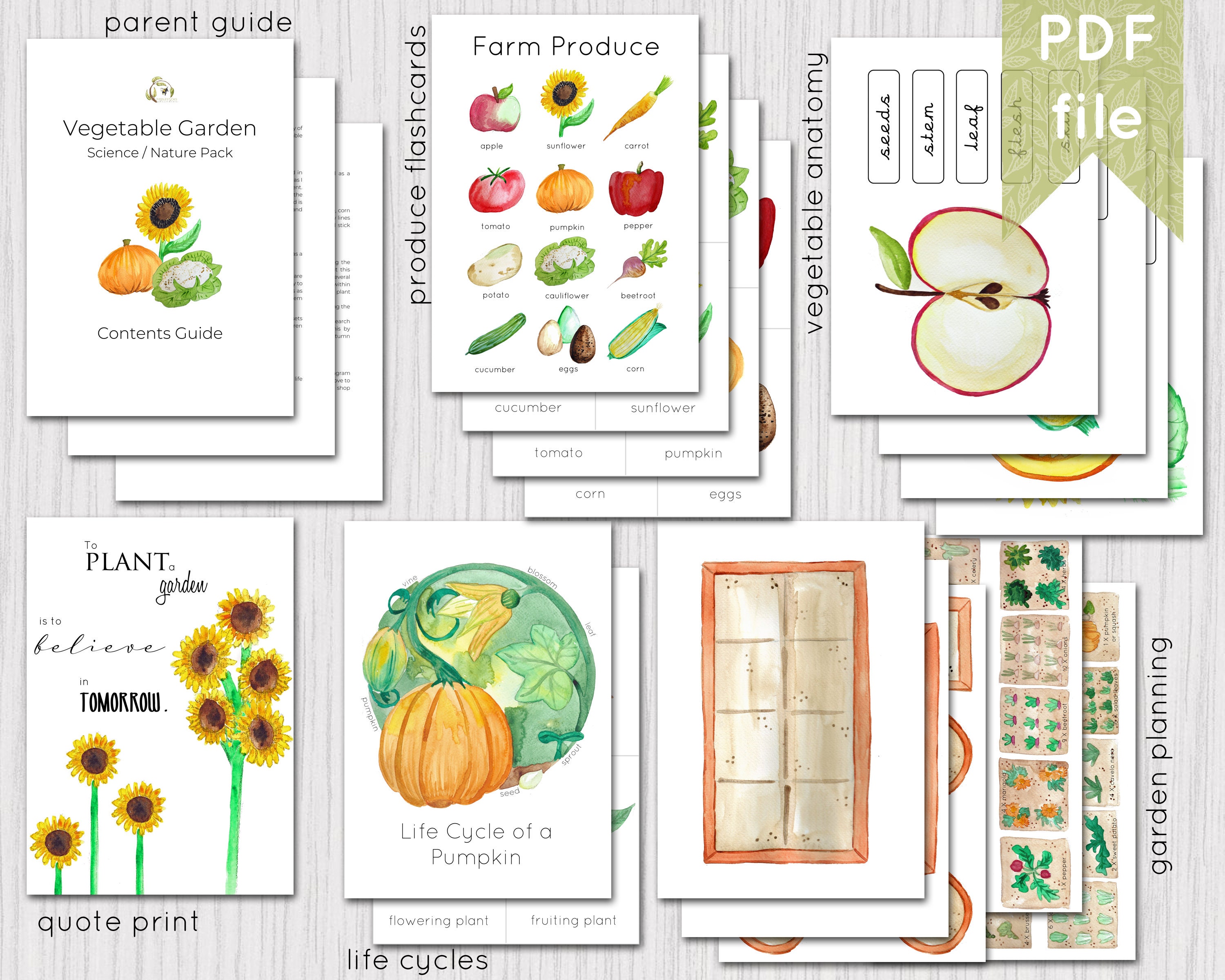 Vegetable Garden Printable Science and Nature Study Pack - Etsy UK