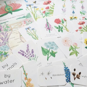 Cottage Garden Flowers Printable Science and Nature Study Pack | Spring ...