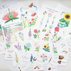 Cottage Garden Flowers Printable Science and Nature Study Pack | Spring ...