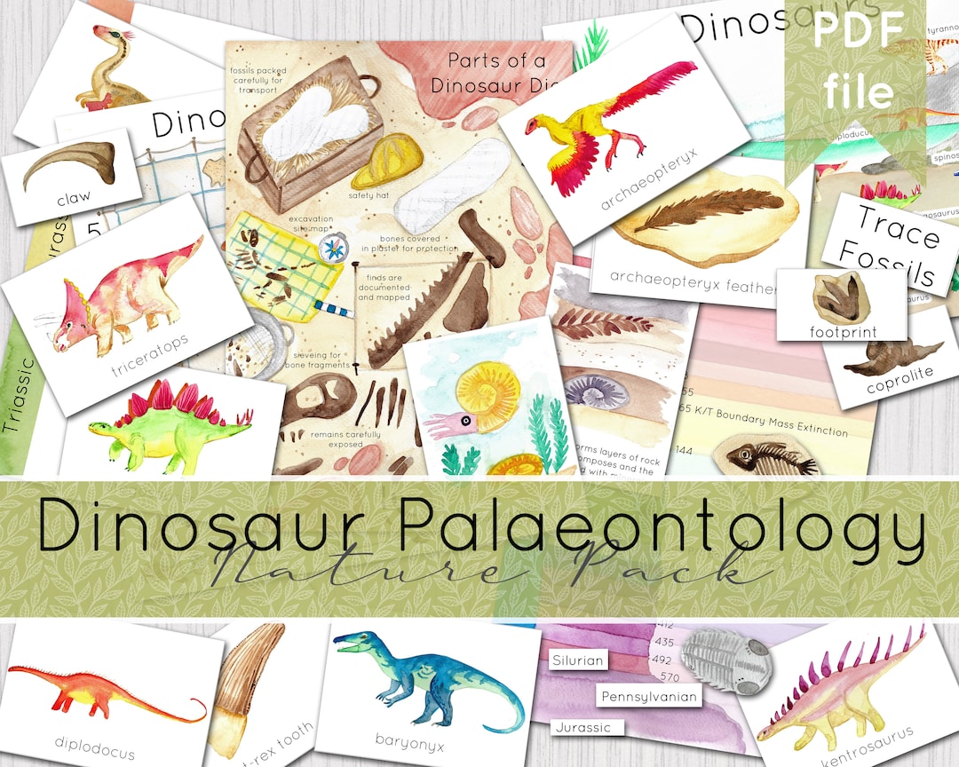 Dinosaur Nature Pack | Palaeontology Science Pack | DIGITAL DOWNLOAD - Etsy