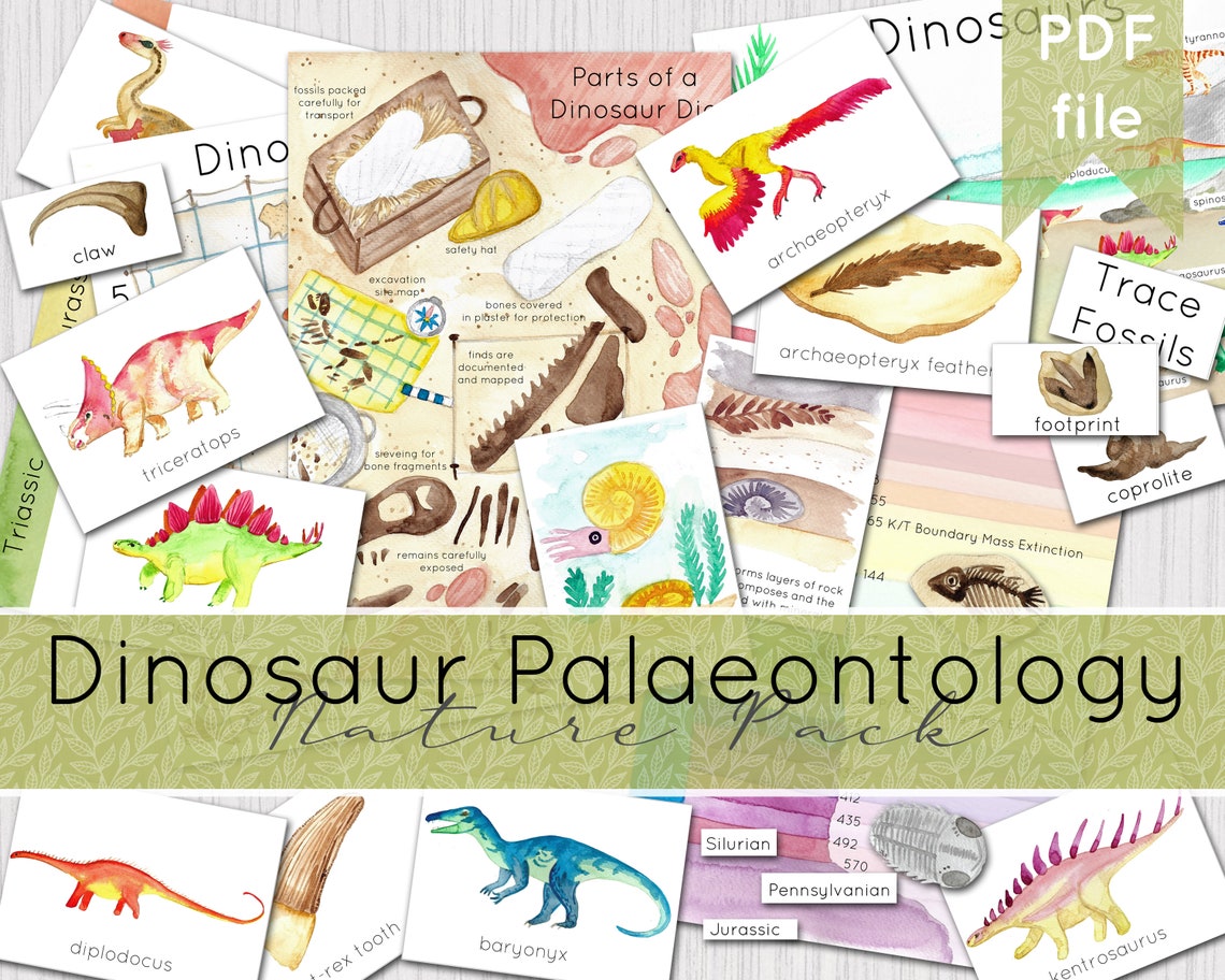 Dinosaur Nature Pack Palaeontology Science Pack DIGITAL - Etsy