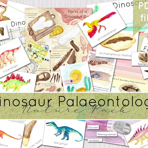 Dinosaur Unit: Science Pack - Etsy