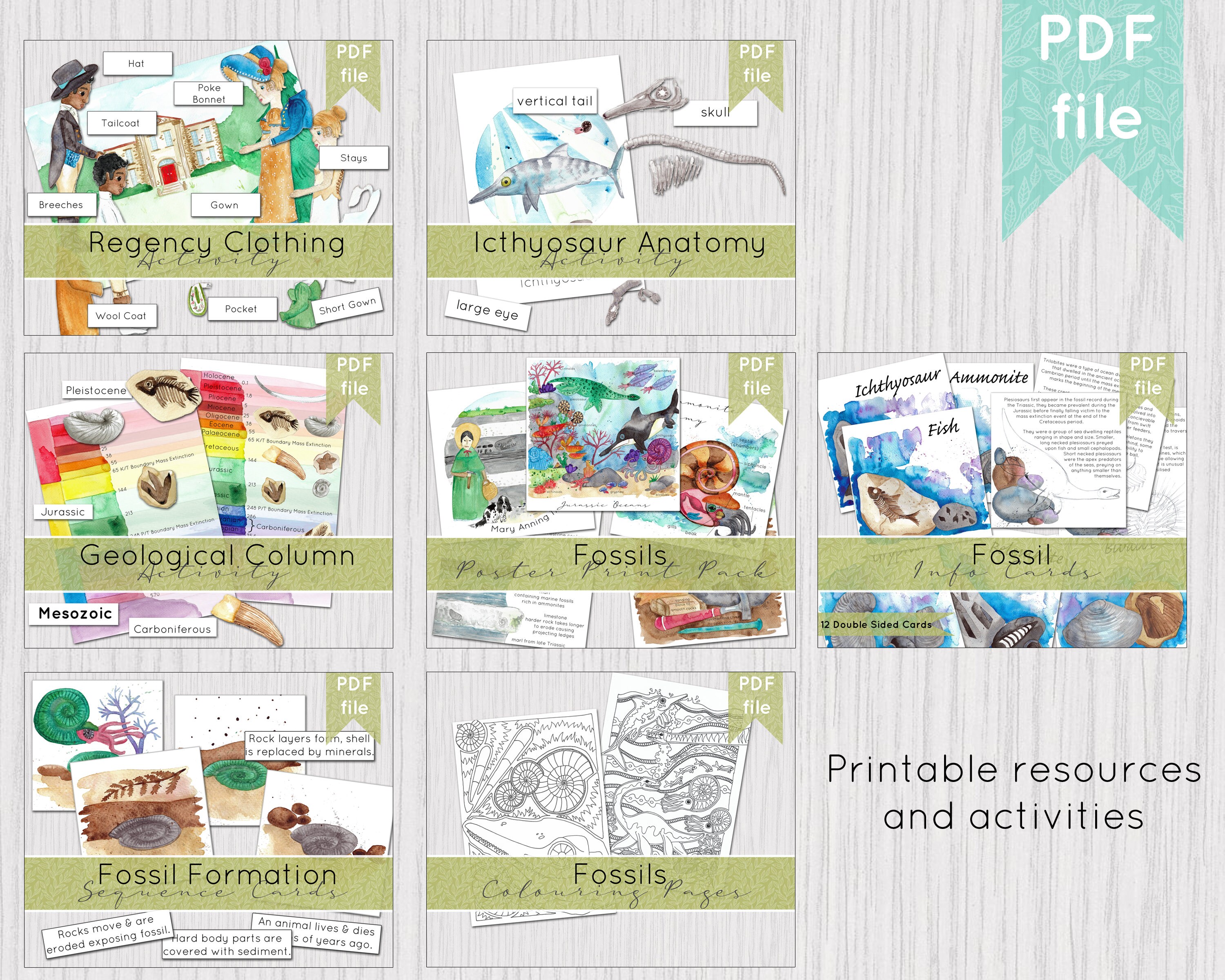 Fossils Living SHORE Ch 3 Complete Homeschool Nature Study - Etsy UK