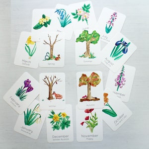 Calendar Flashcards Pack | Wildflower & Season Cards | DIGITAL DOWNLOAD ...