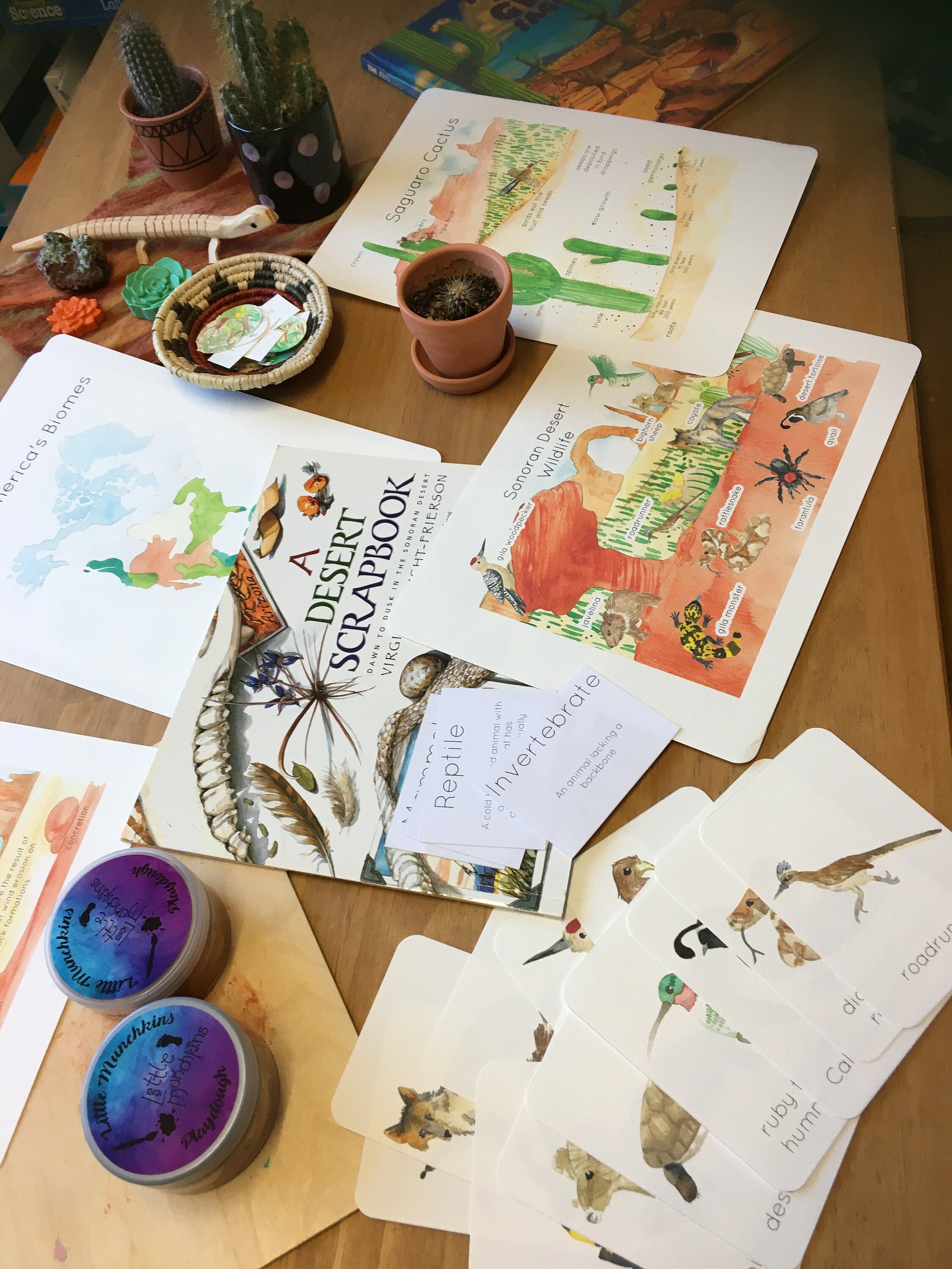 Desert Early Years Complete Curriculum Unit | Preschool | Instant ...