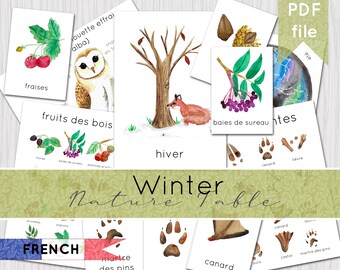 French Flashcards | Etsy