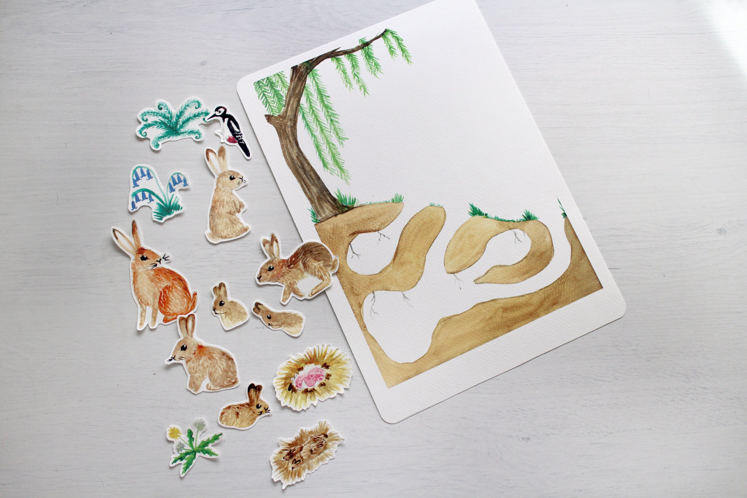 Rabbit & Lagomorph Nature Study Pack European Rabbit | Etsy UK