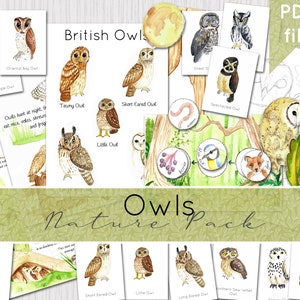Owl Nature Pack | Watercolour Nature Journaling | Children's Activities ...