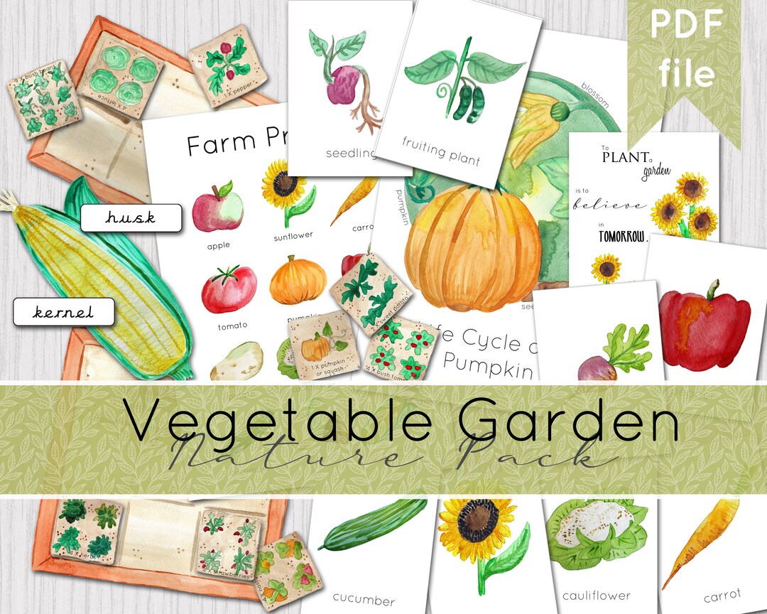 Vegetable Garden Printable Science and Nature Study Pack | Gardening ...
