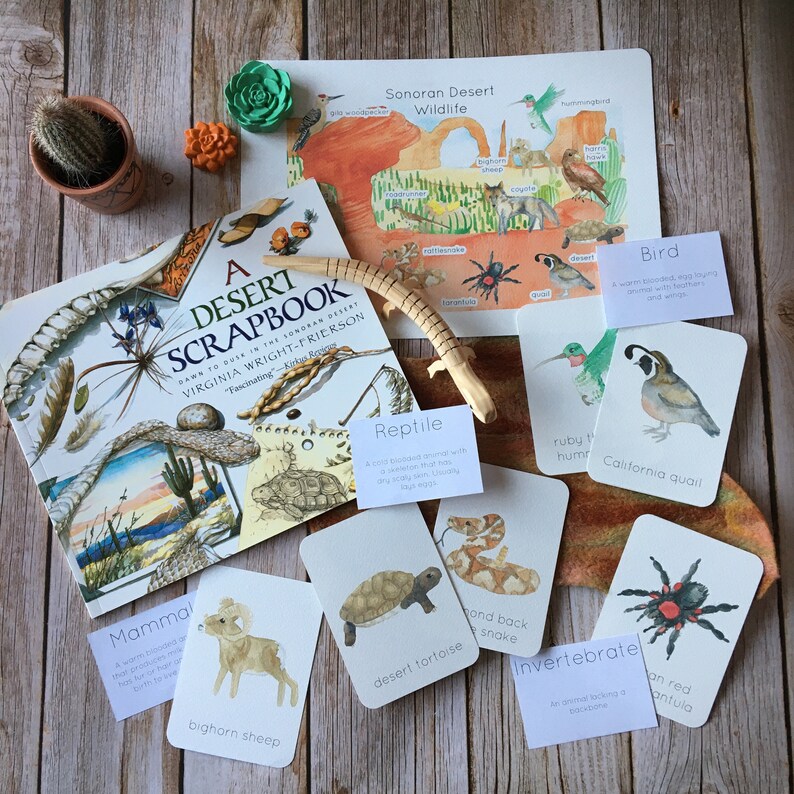 Desert Early Years Complete Curriculum Unit Preschool | Etsy