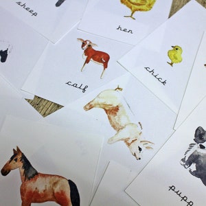 On the Farm - Early Years Unit | Preschool Activities Bundle | INSTANT ...