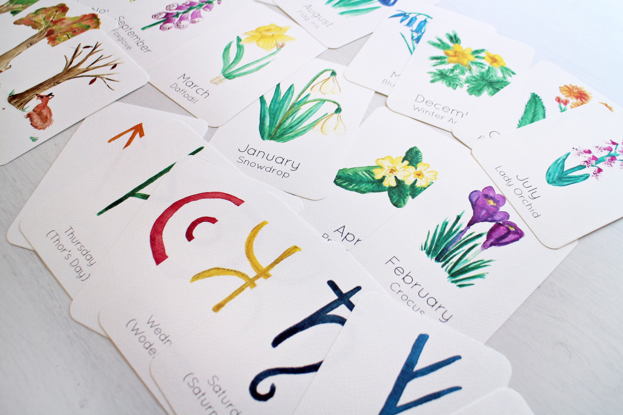 Calendar Flashcards Pack Wildflower & Season Cards DIGITAL - Etsy UK
