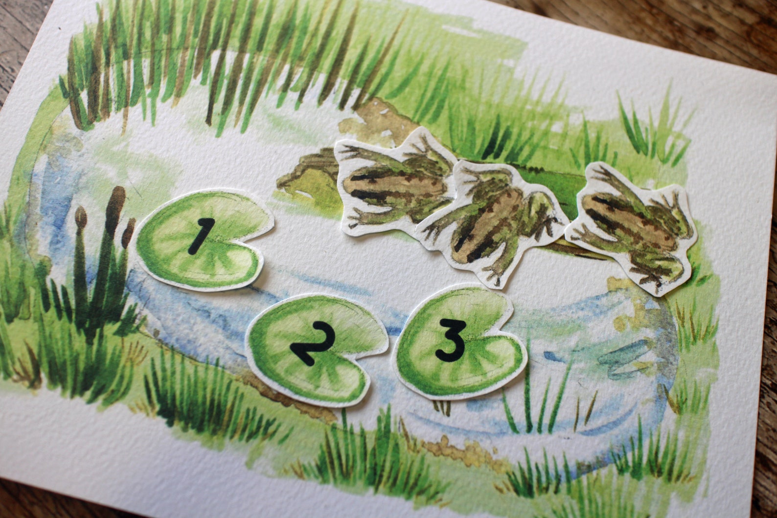 Frog Nature Pack Printable Nature Study Includes 1 Poster | Etsy