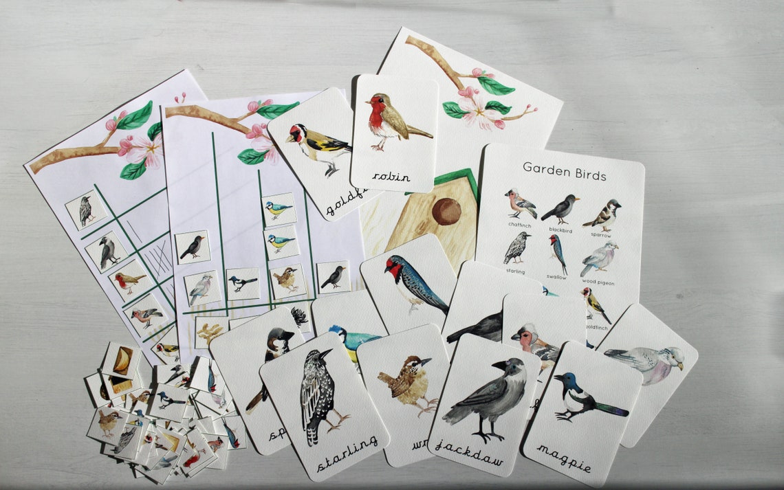 Garden Birds Nature Study Pack British Birds Printable - Etsy