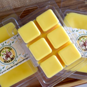 Monkey Farts Melt, Wax Tart for Warmers, Clamshell Wax Melt, Fragrance ...