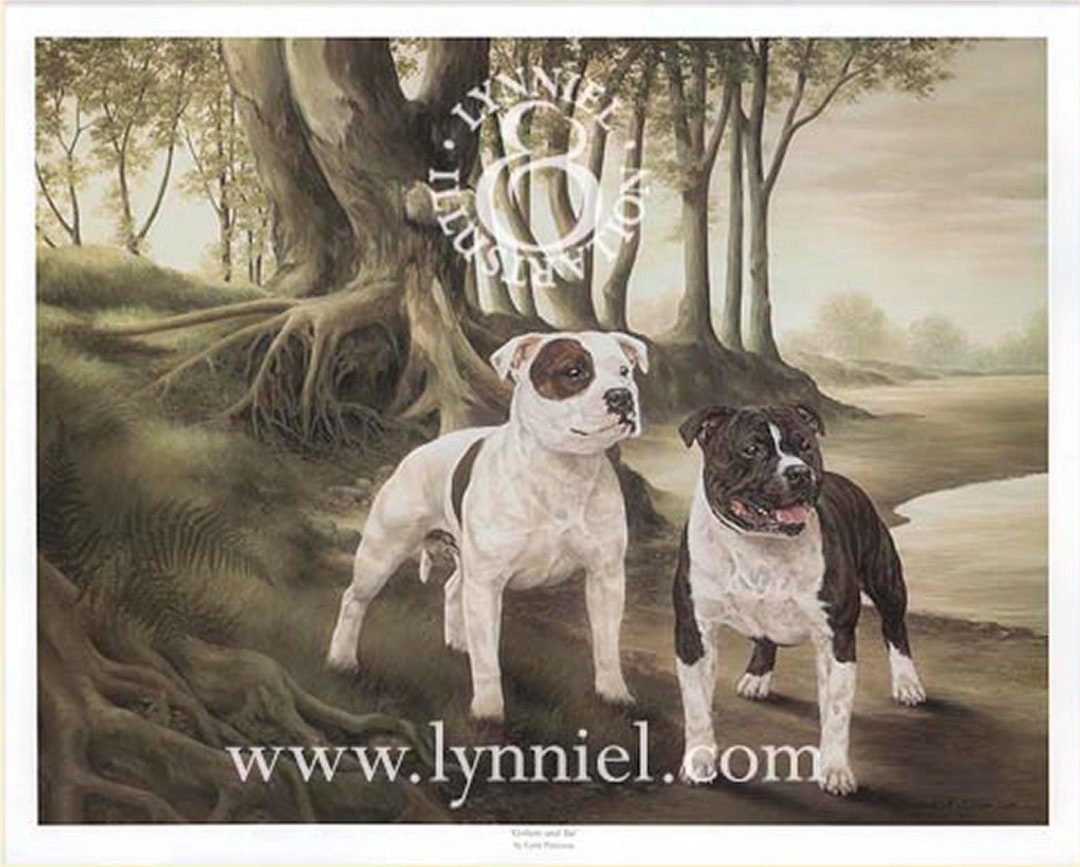 STAFFORDSHIRE BULL TERRIERS 'staffy' Dog Art Print 'goliate and Tai' - Etsy