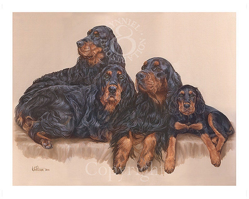 GORDON SETTERS Fine Art Dog Print - Etsy