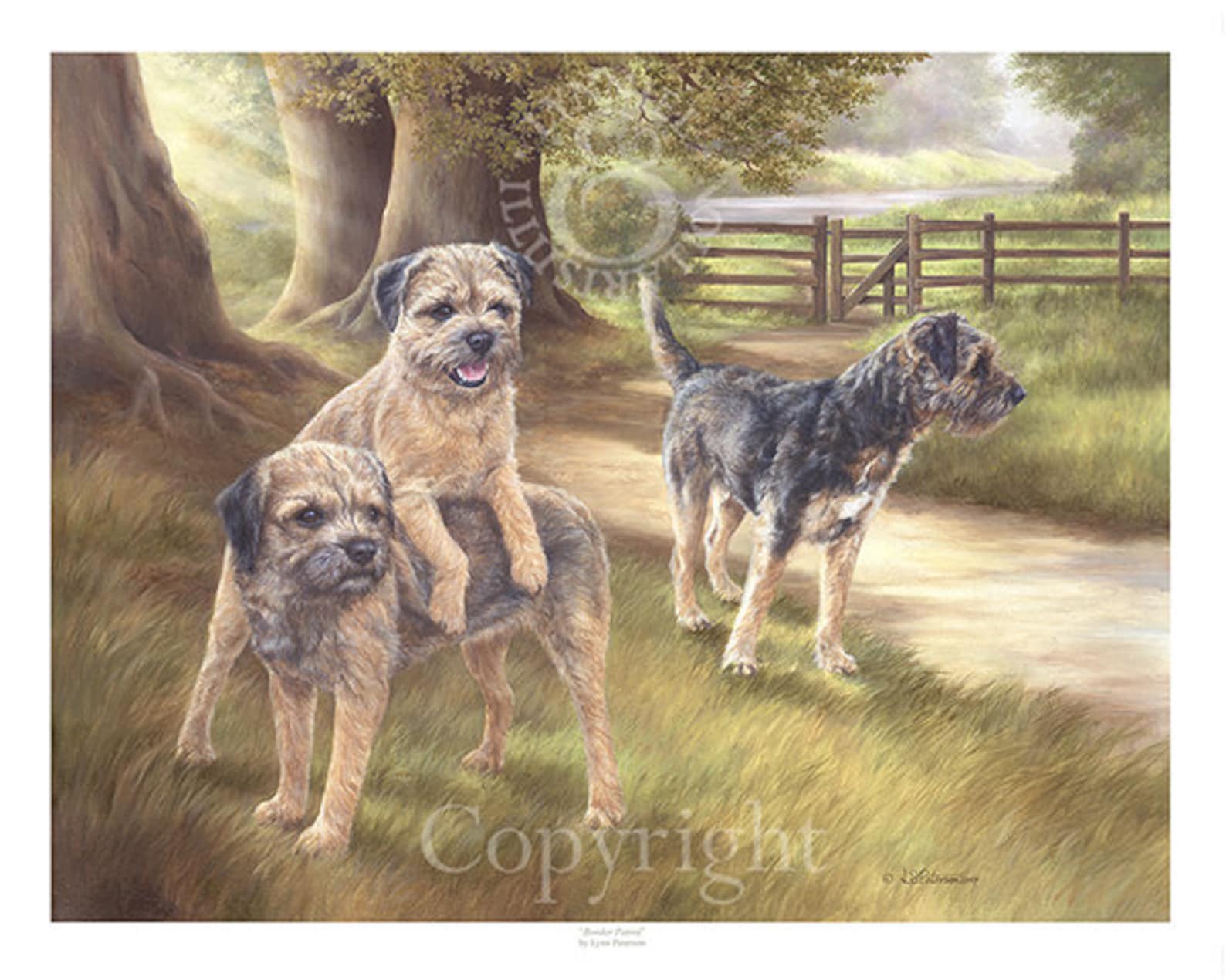 BORDER TERRIERS Limited Edition Fine Art Dog Print 'border Patrol' - Etsy