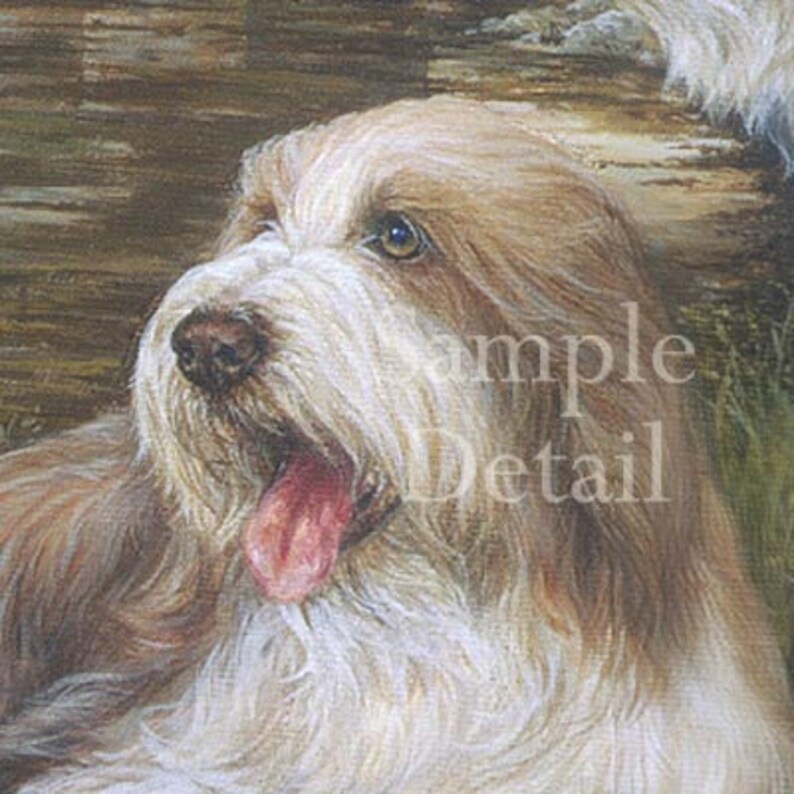 BEARDED COLLIE Beardie Dog Art Print 'the Highlanders' - Etsy