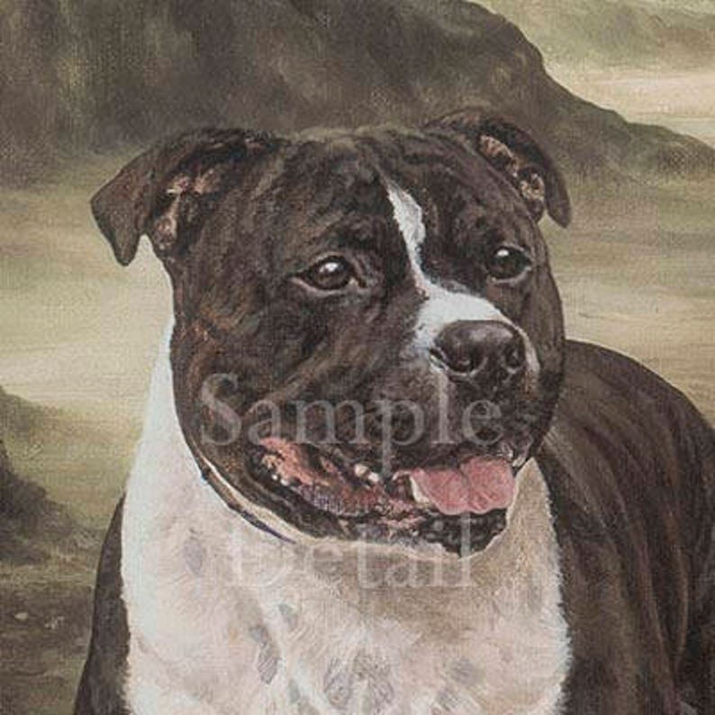 STAFFORDSHIRE BULL TERRIERS 'staffy' Dog Art Print 'goliate and Tai' - Etsy