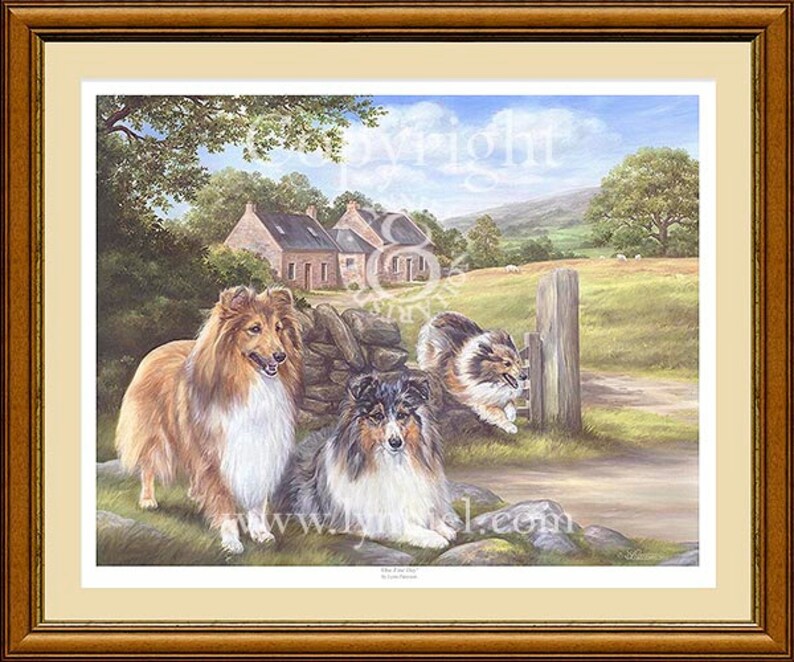 SHETLAND SHEEPDOG Shelties Dog Print by Lynn Paterson - Etsy