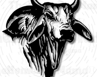 Brahma Bull - Etsy
