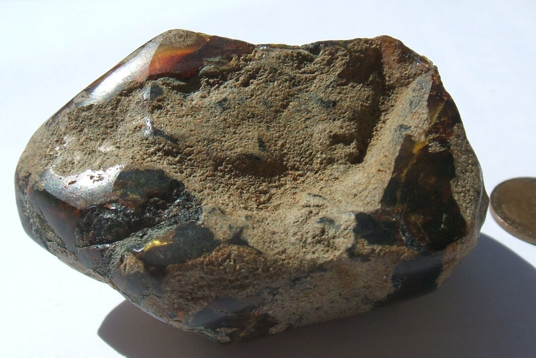 Dominican Amber-rough-semi Polished-large Stone-58 Grams (1) - Etsy