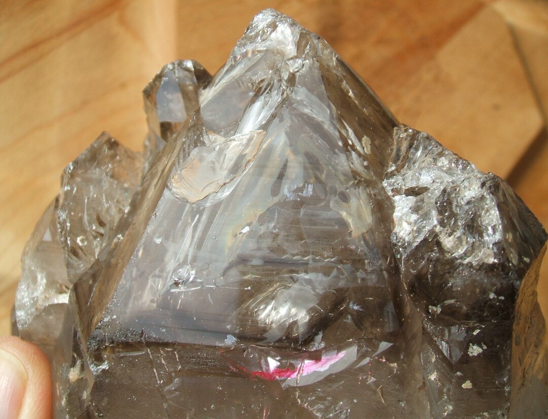 Elestial Alligator Smoky Window Quartz Crystal Point-scepter Like ...