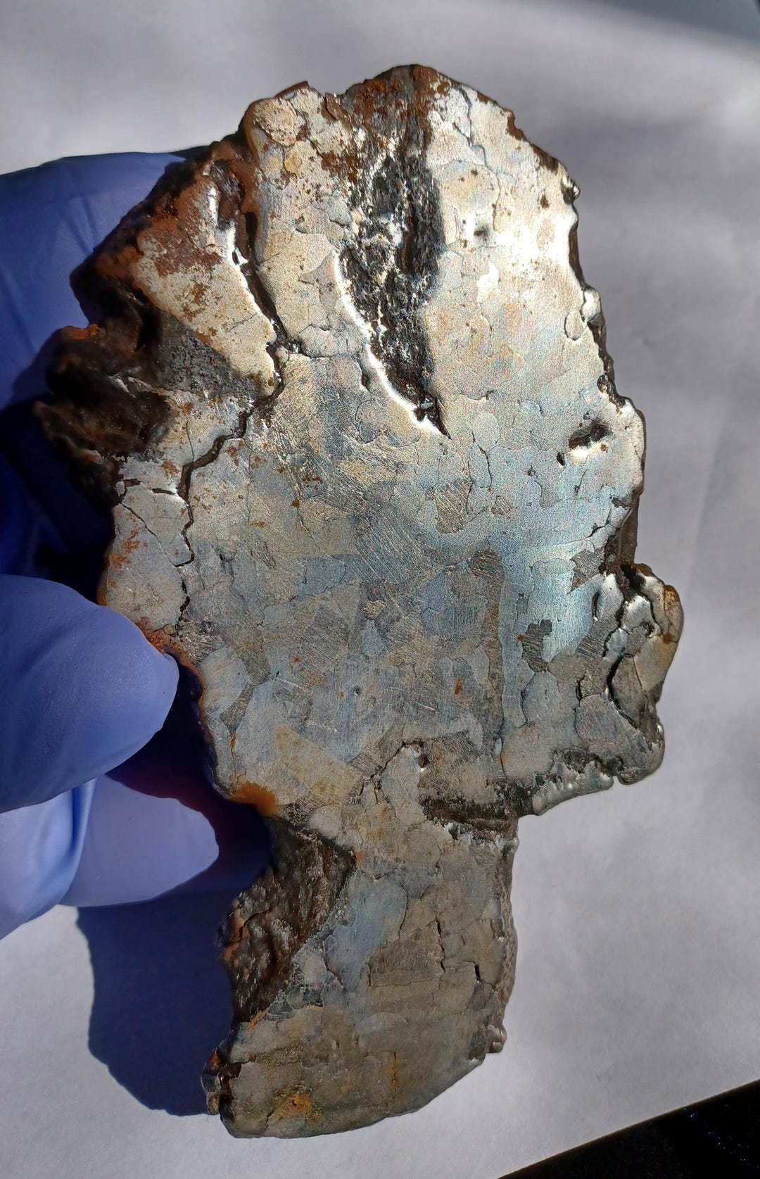 Campo Del Cielo Iron Meteorite Slice-etched and Bright Polished-324 ...