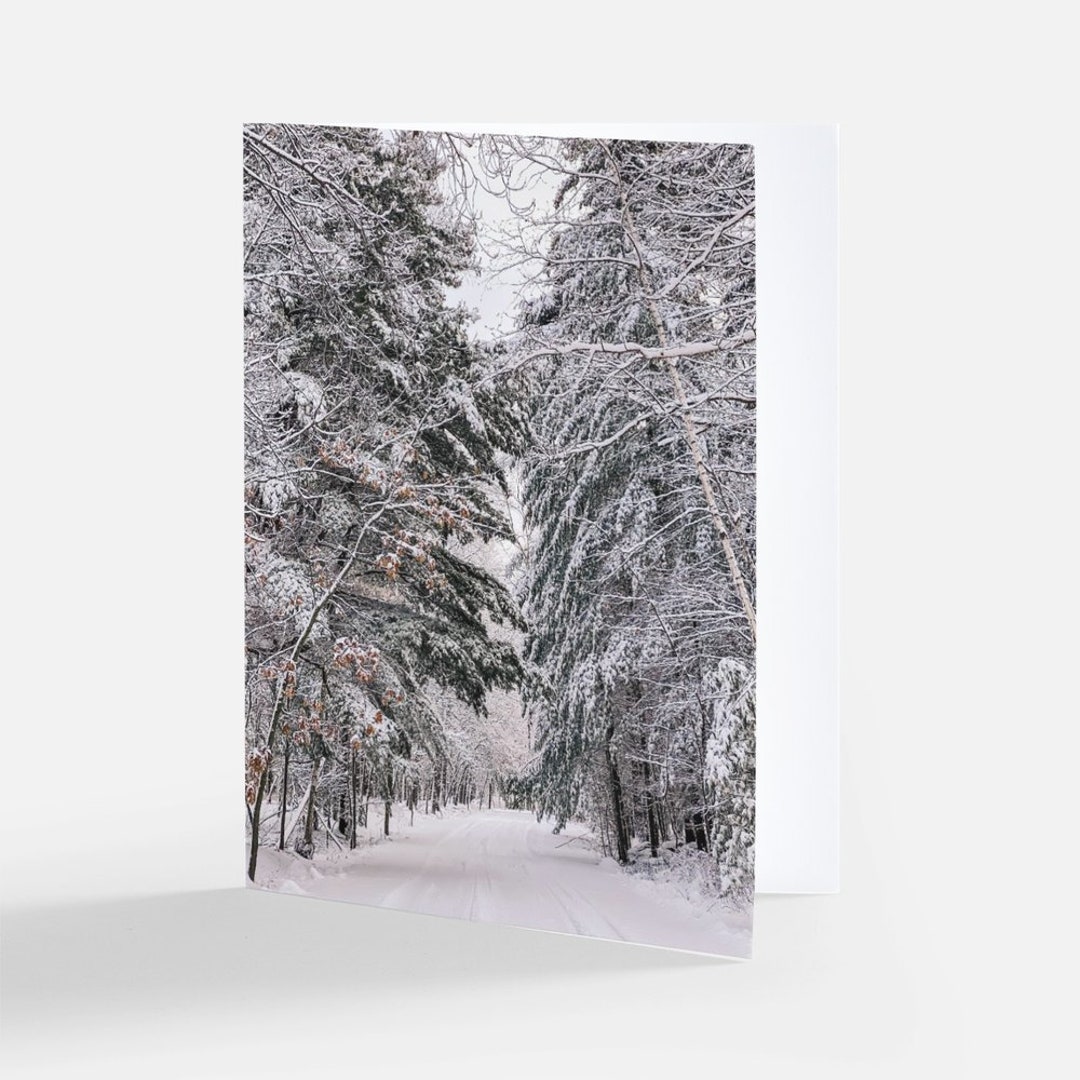 Greeting Cards - Tobico Marsh Michigan Winter Scene 5 Pack - Etsy