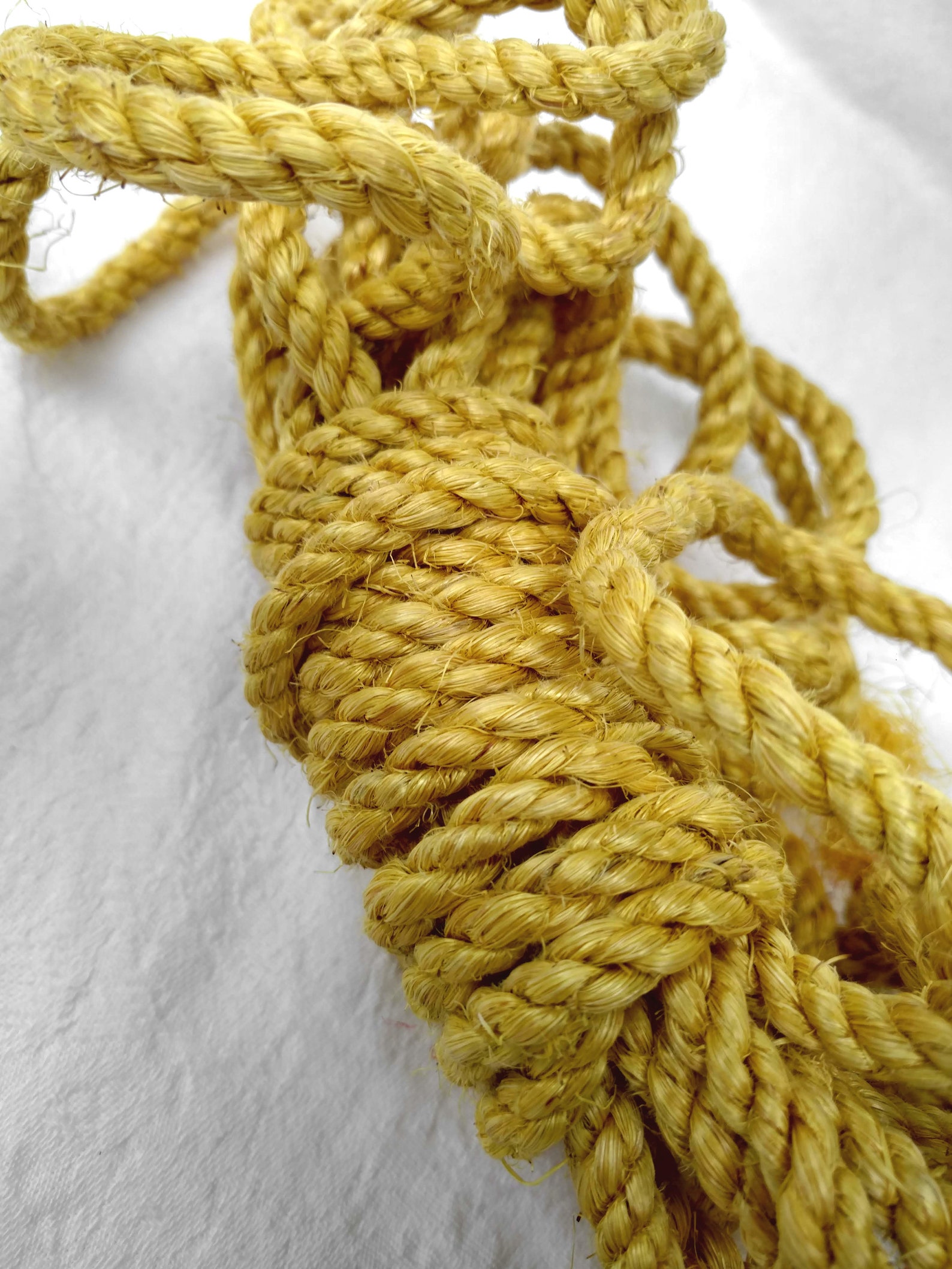 Yellow Sisal Rope Dyed Citrus Yellow Color: 1/4 - Etsy