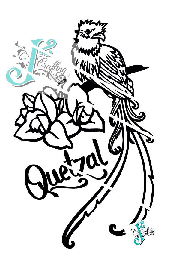 Quetzal 2 - SVG / EPS / PNG - Cut File - Etsy