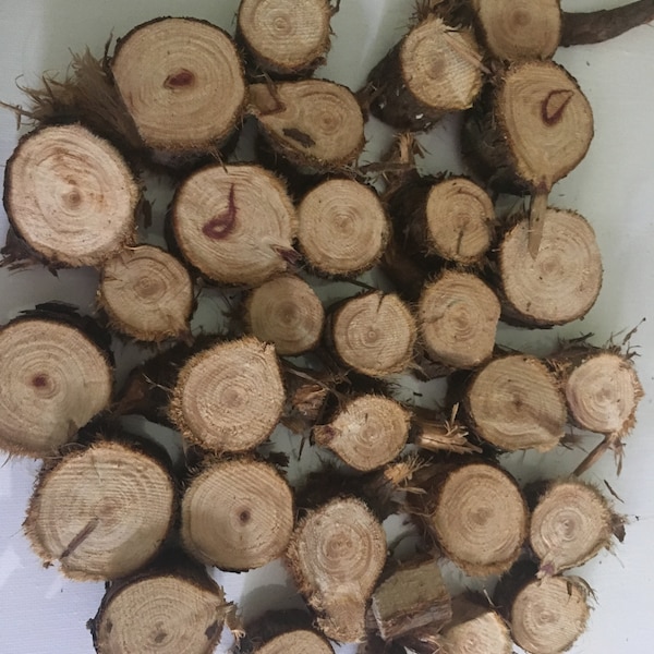 Cedar Carving Blocks - Etsy