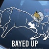 Feral Hogs, Wild Pigs, Hog Hunting, Boar, Black Mouth Cur, Cur Dog, Bay ...
