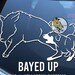 Feral Hogs, Wild Pigs, Hog Hunting, Boar, Black Mouth Cur, Cur Dog, Bay ...