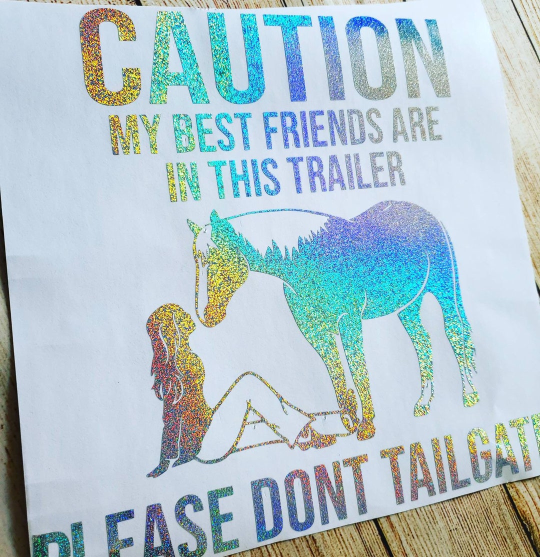 Large 12x12 Custom Barrel Reining Dressage Reining Horse Cowgirl ...