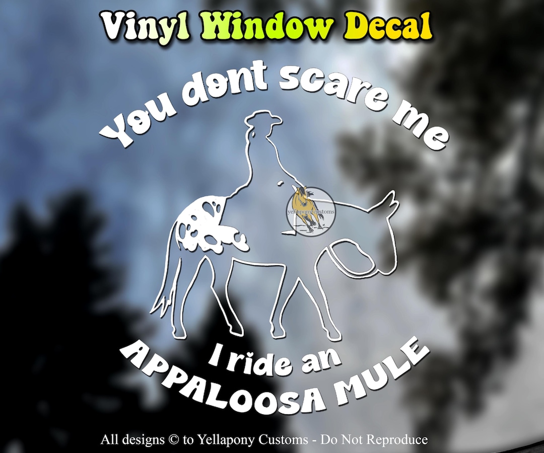 Appaloosa Mule Decal, Riding Mule Vinyl Car Sticker, Western Pleasure ...