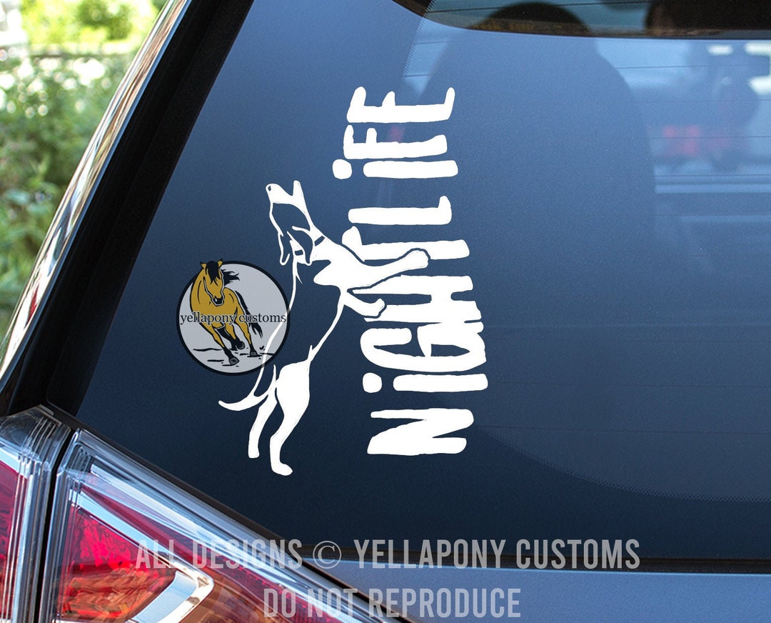 Night Life Coonhound Decal, Coon Hunting Sticker for Coon Hunter, High ...