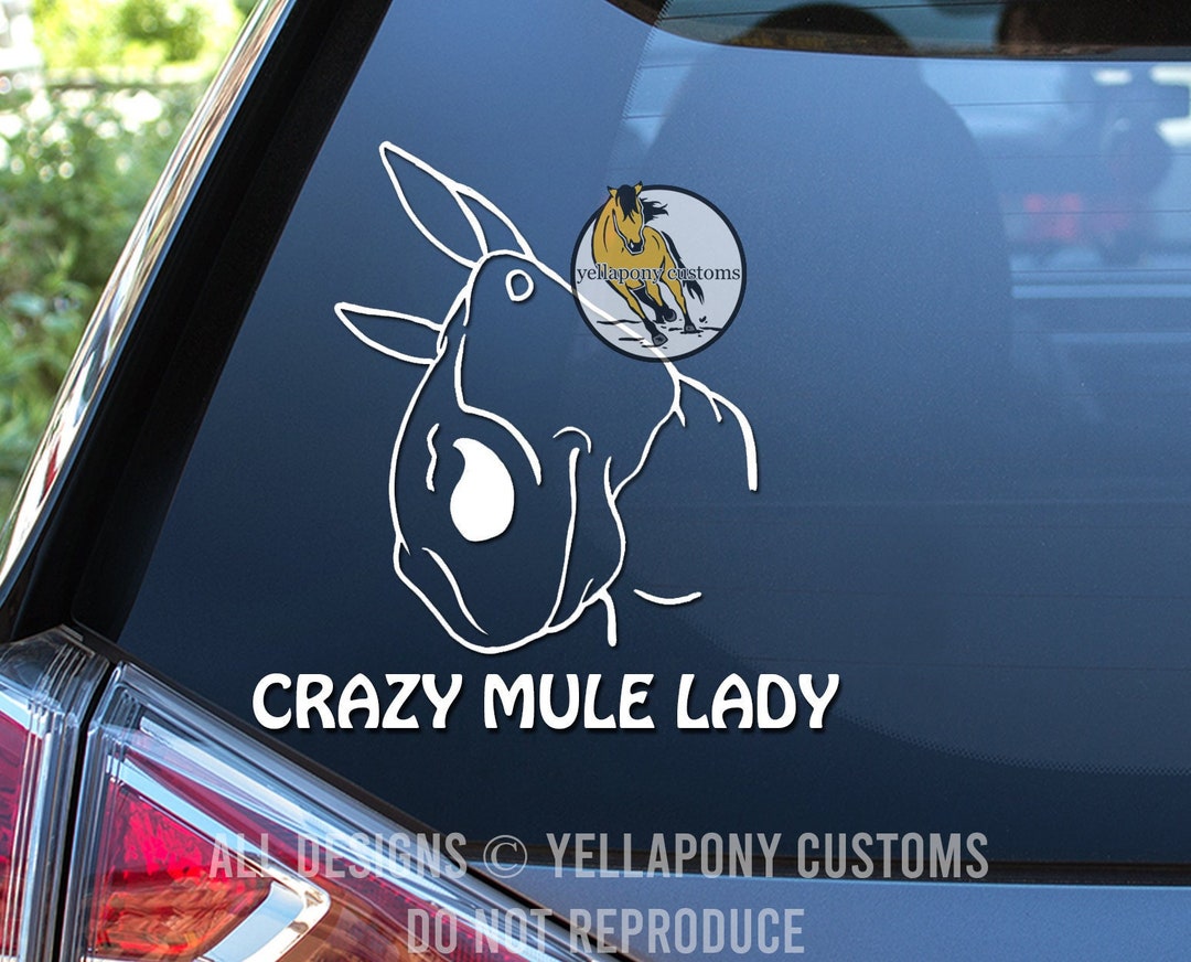 Custom crazy Mule Lady Funny & Unique Long Ears Decal Show Horse Equine ...