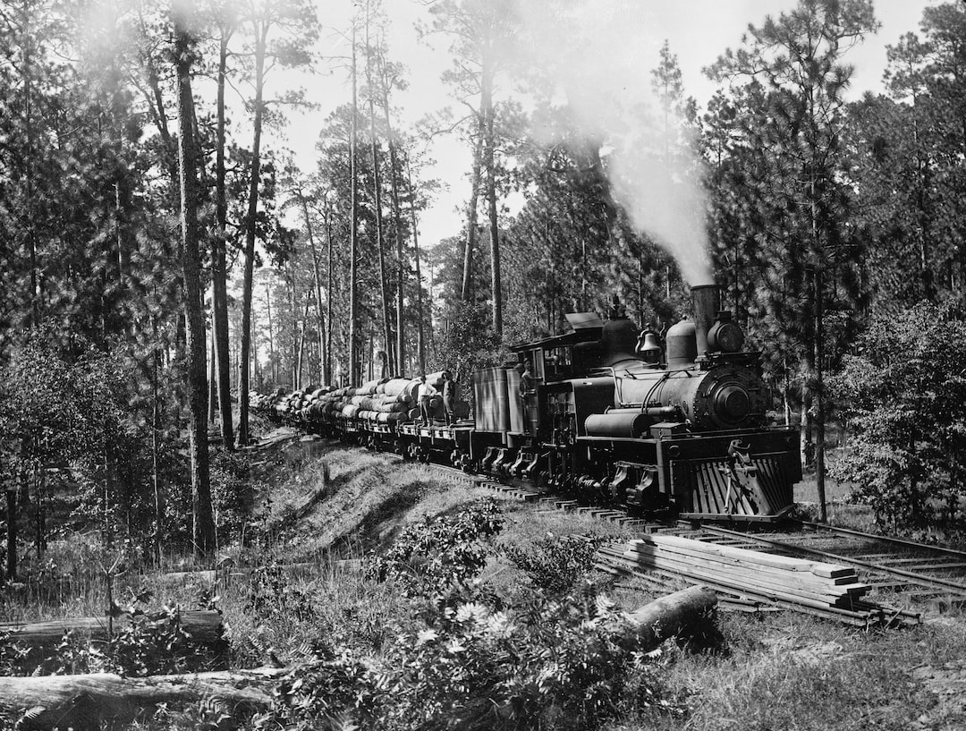 Logging Train, Early 1900's, Steam Locomotive, Old Photo, New ...