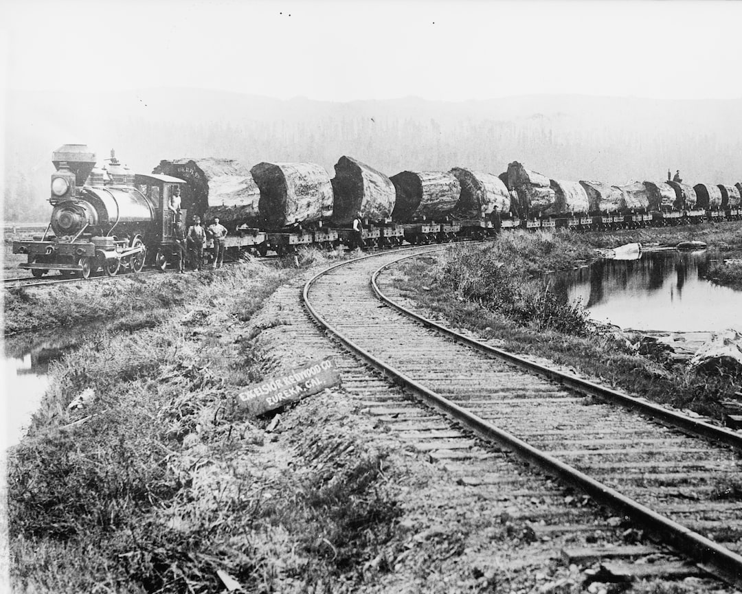Logging Train, 1909, Early 1900s, Railroad, Old Photo, Locomotive, New ...