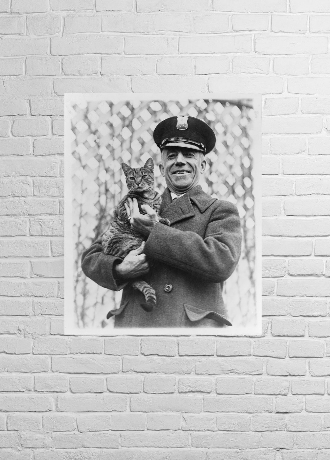 Tige the Cat of Calvin Coolidge in 1924, New Reproduction Photo Print ...