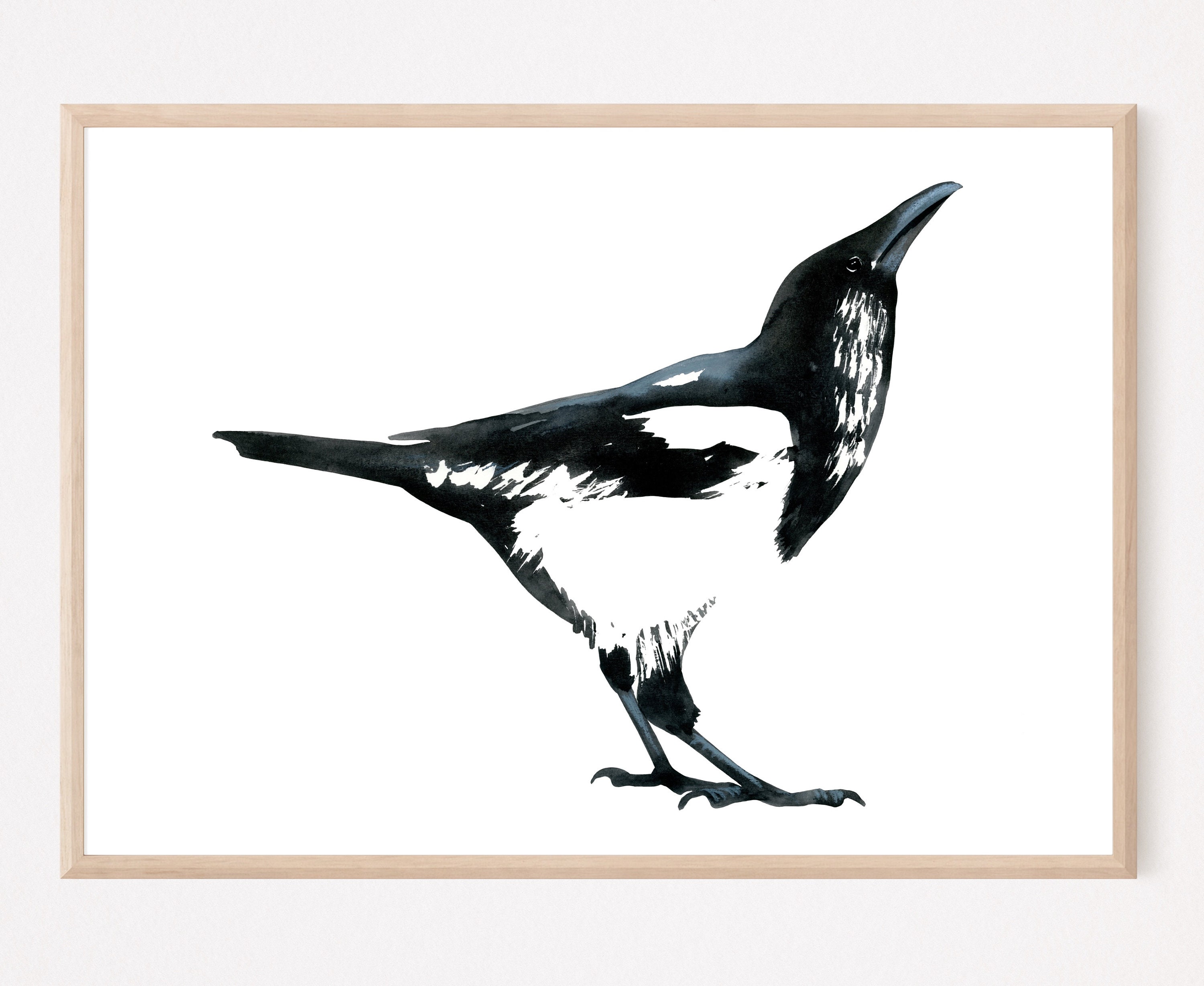 Korean Magpie Art