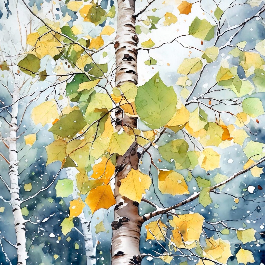 Aspen Tree Art Print, Giclee Botanical Watercolor Painting, Aspen Leaf ...