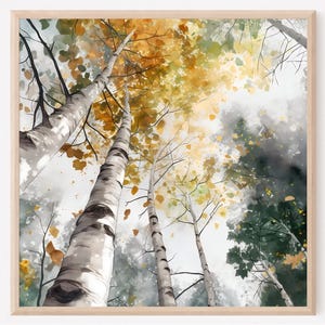 Aspen Tree Watercolor Painting Art Print, Autumn Landscape Wall Art ...